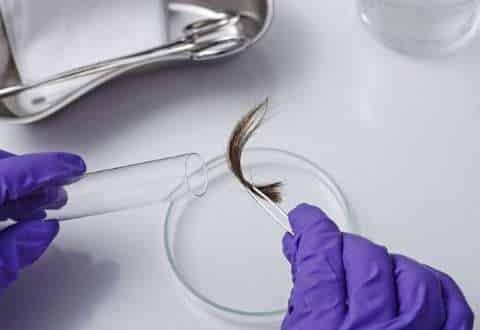 Best DNA Relationship test providers -Suspire - Serving GCC