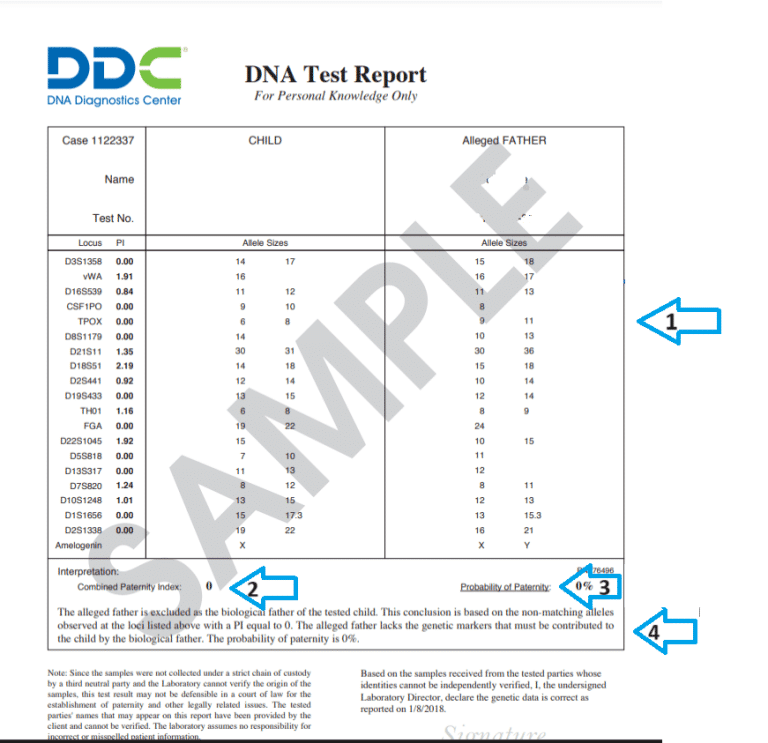 Suspire : Understanding Paternity Test Results